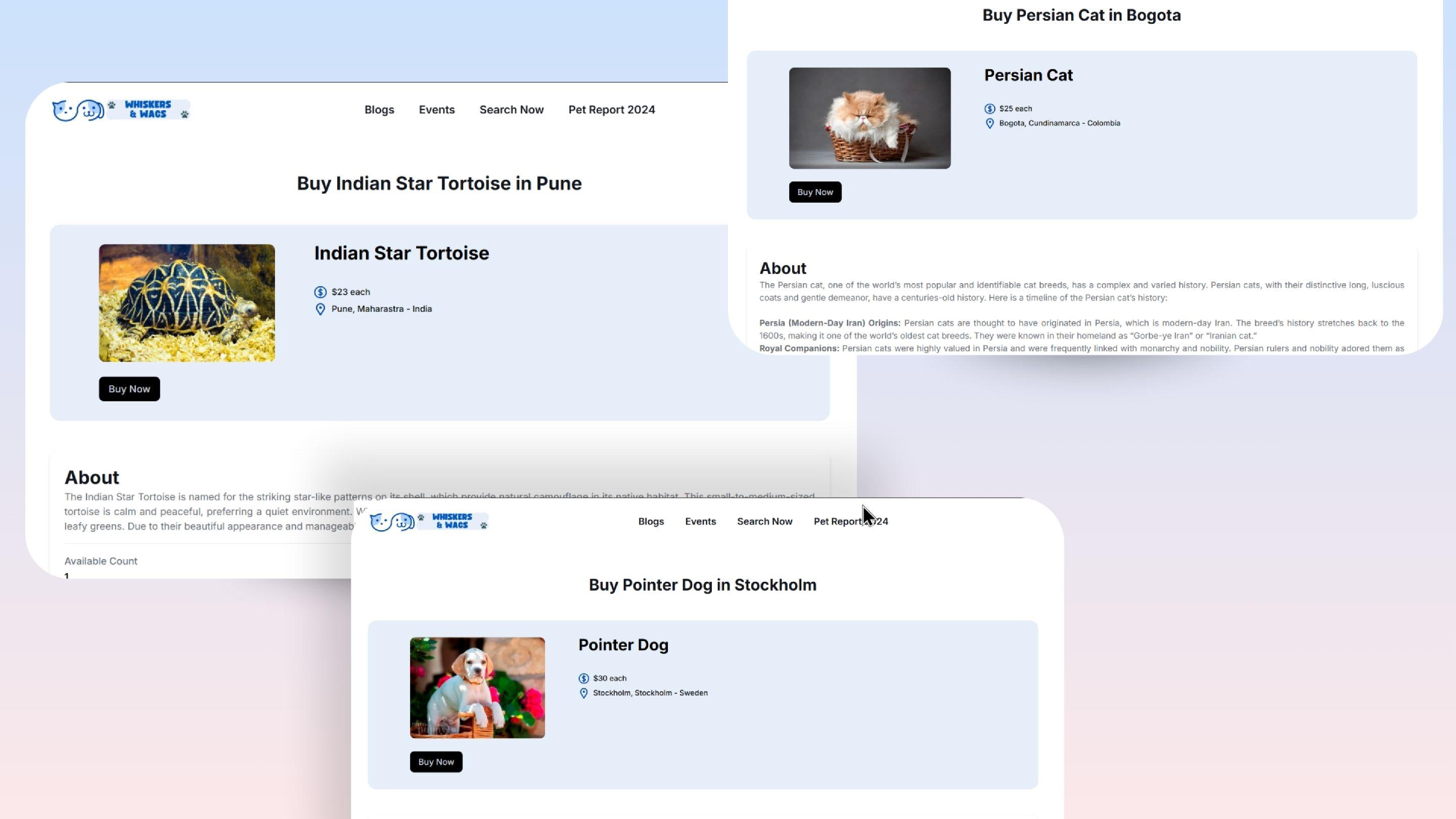 Types of Pages | Levo Docs